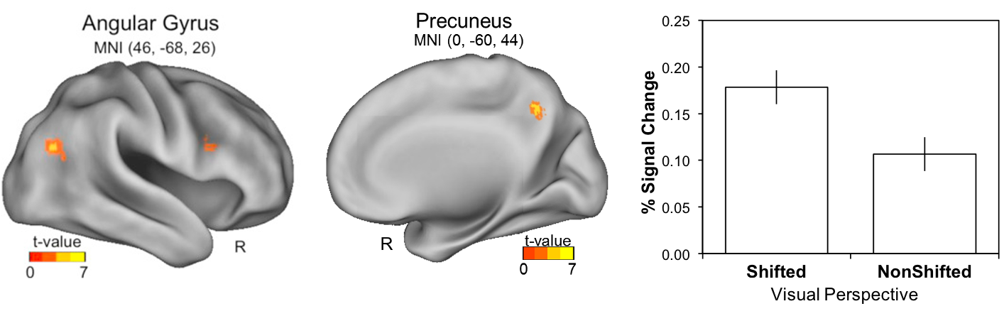 Memory for Events Lab – Dr. Peggy L. St. Jacques
