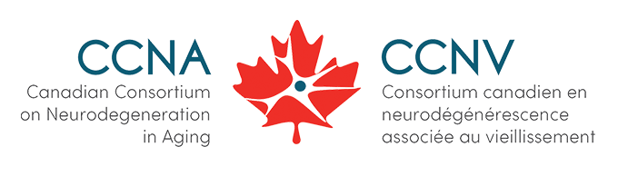 SynAD – Research . . . . Training . . . . Translation . . . . Community
