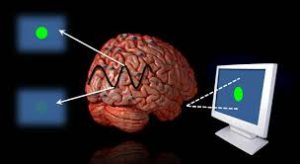 Kyle E. Mathewson – Attention, Perception, and, Performance Lab ...